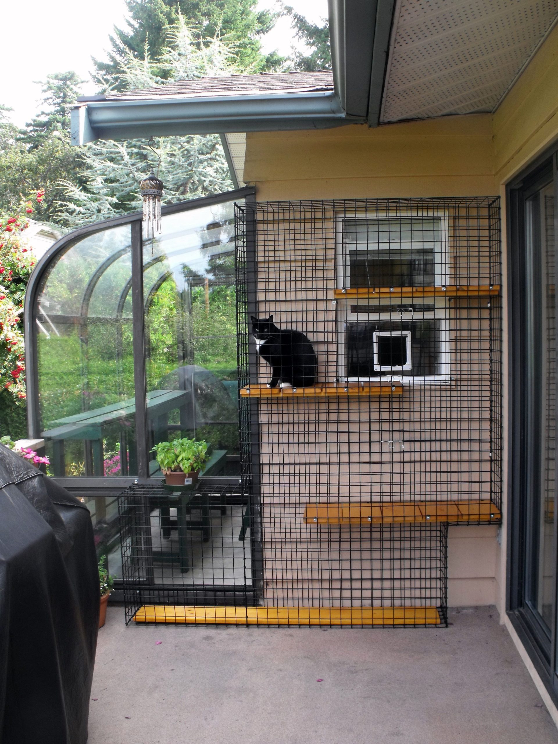 A Catio Is The Coolest Thing You Never Knew Your Cat Needed Jard n Para A Catio Is The Coolest Thing You Never Knew Your Cat Needed Jard n Para